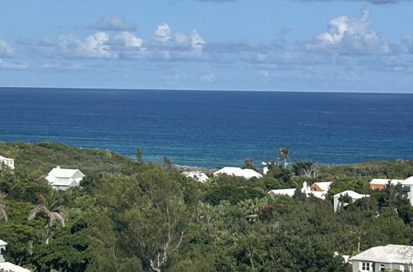 Scorching Heat Grips Bermuda: Temperatures Near Record Highs as ...